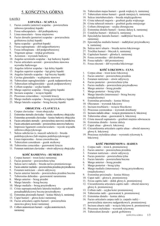 szpile raczka | PDF