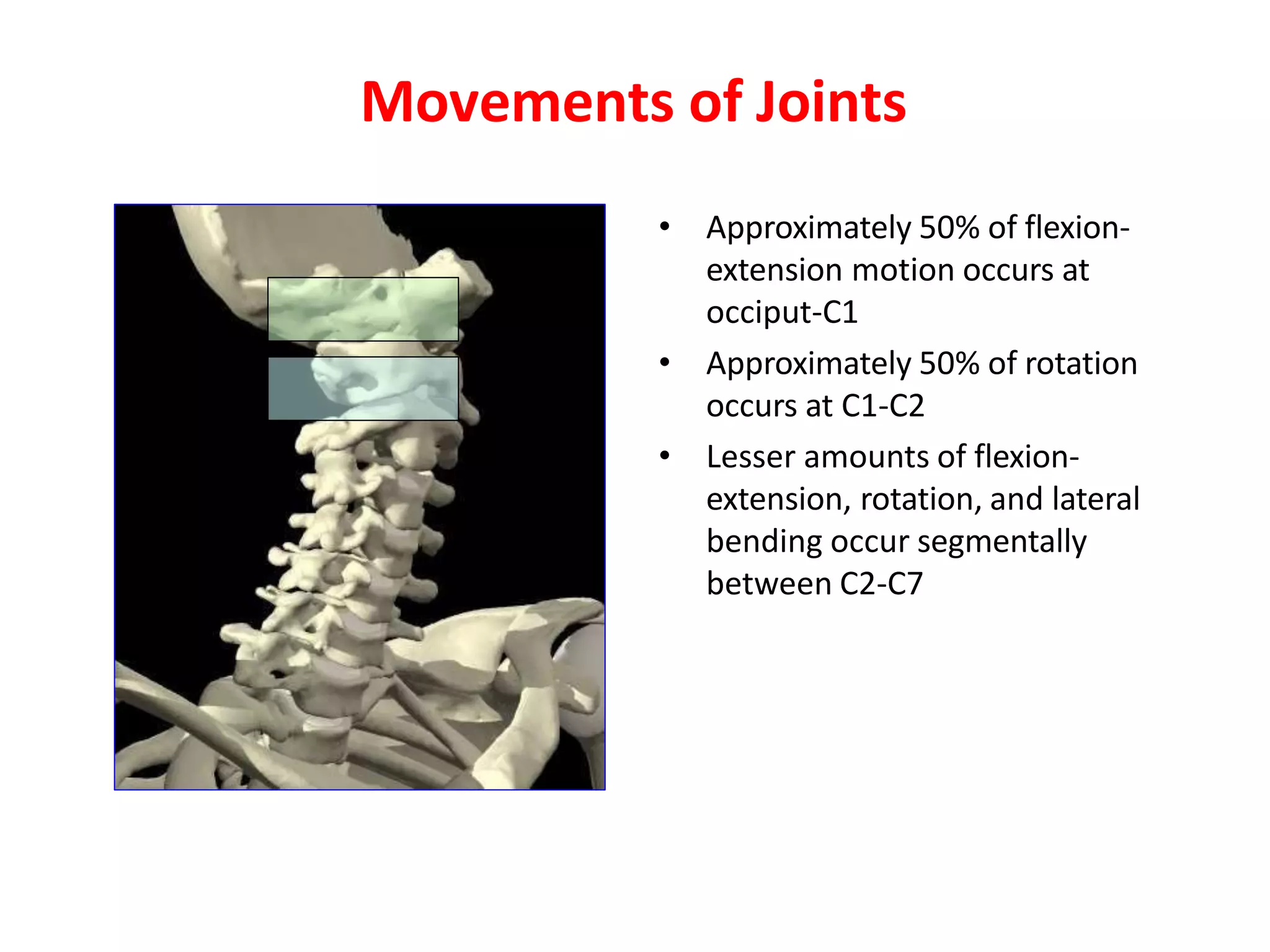 Anatomy of Cervical Spine | PPTX