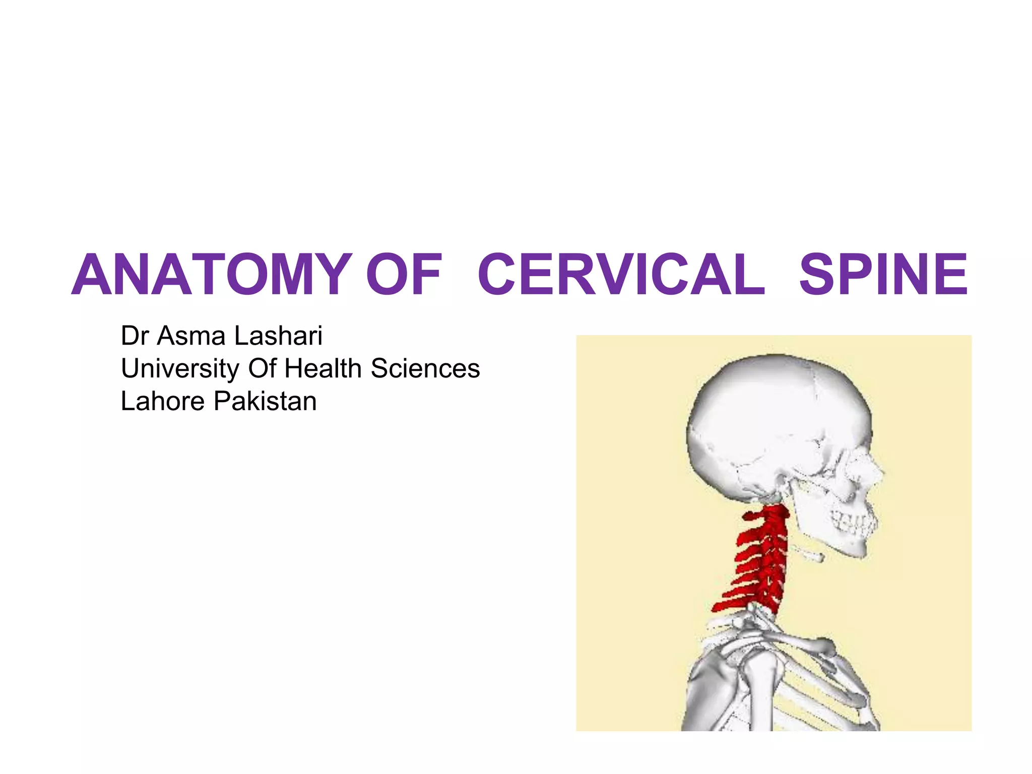 Anatomy of Cervical Spine | PPT