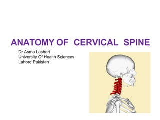 Anatomy of Cervical Spine | PPT