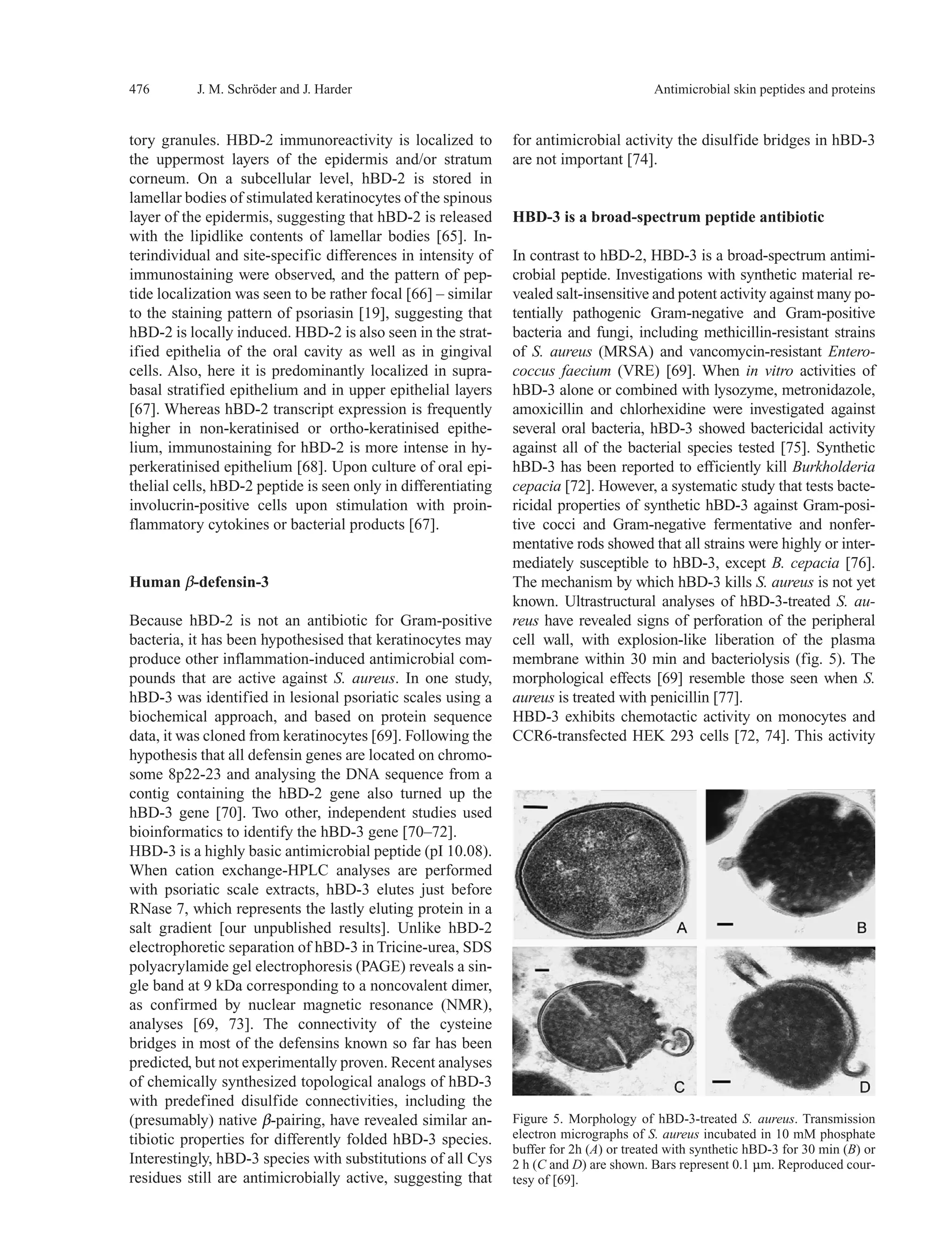 5 Antimicrobial Skin Peptides And Proteins | PDF