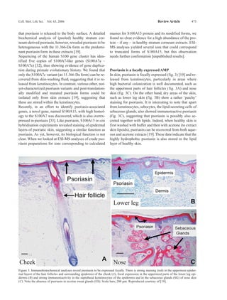 5 Antimicrobial Skin Peptides And Proteins | PDF