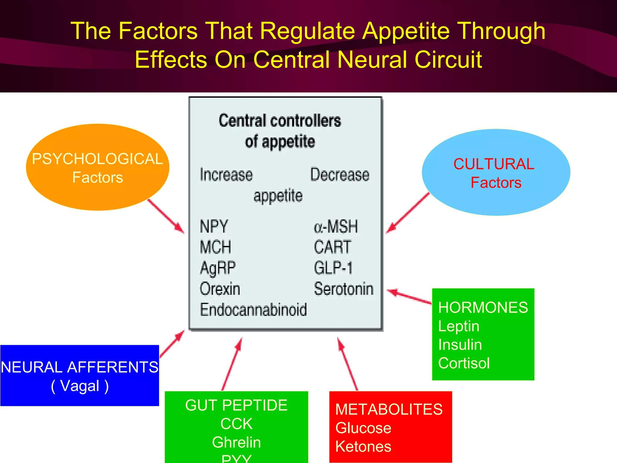 appetite regulation | PPT
