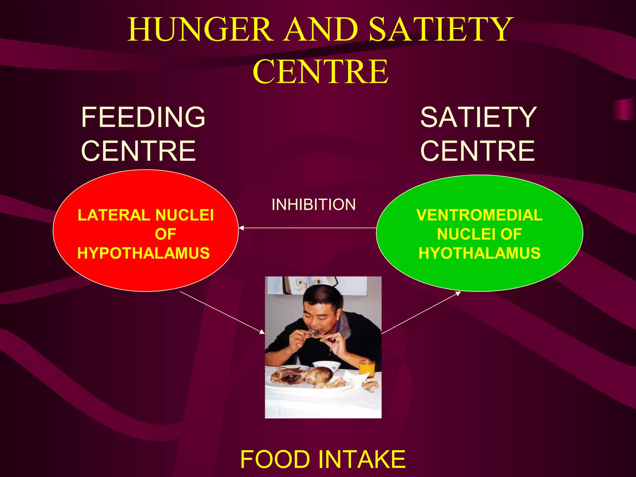 appetite regulation | PPT