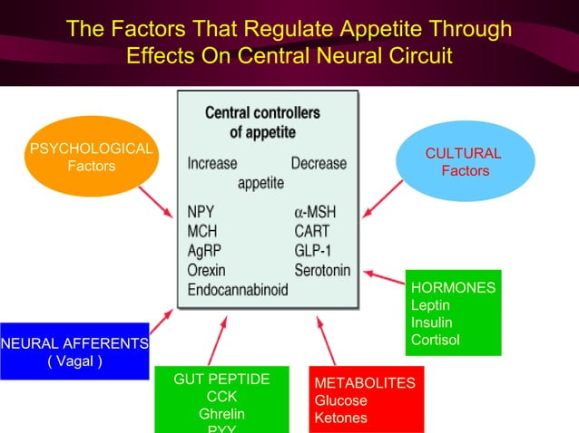 appetite regulation | PPT