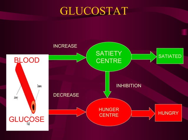 appetite regulation | PPT