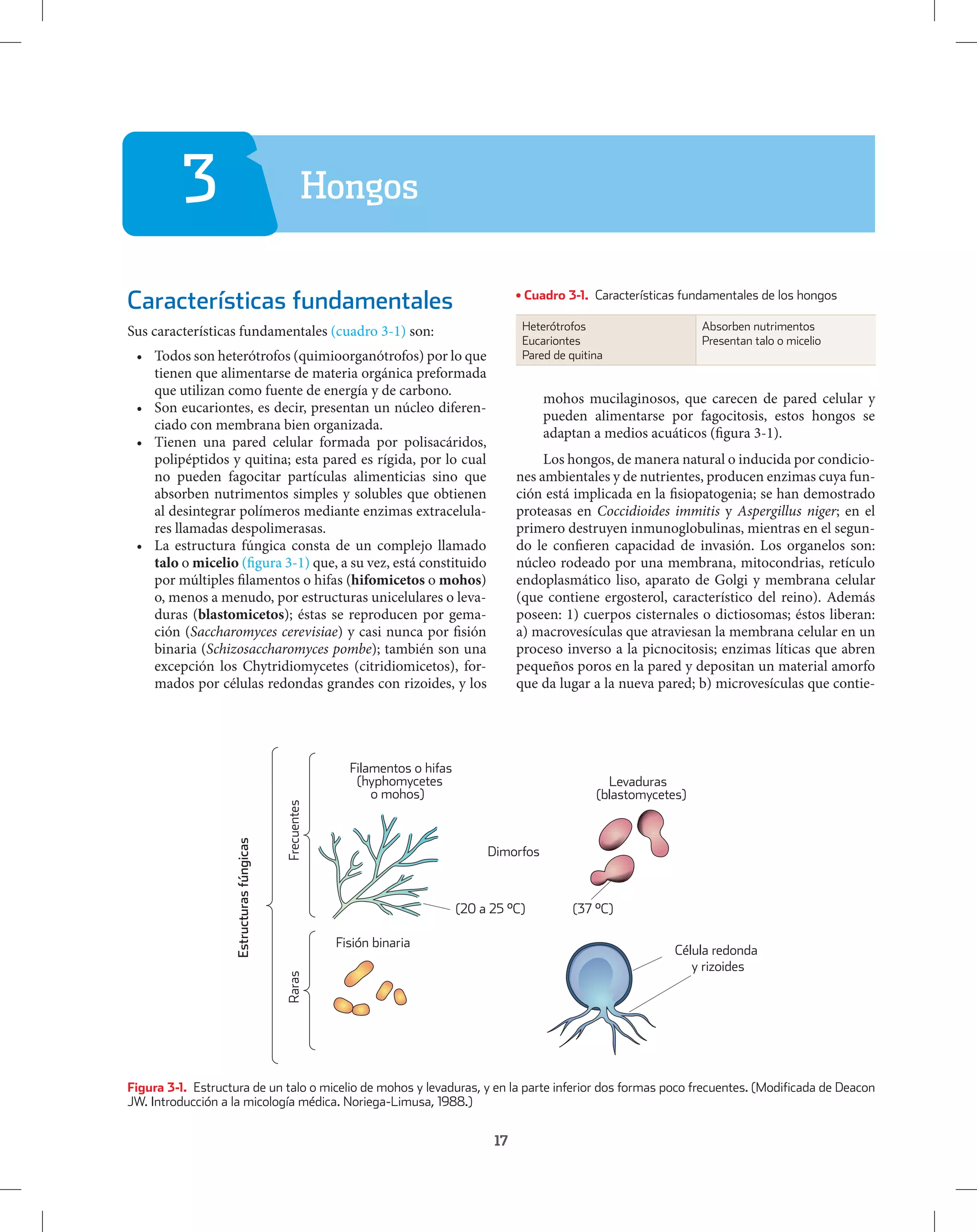 generalidades de micologia | PDF