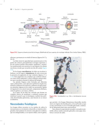 generalidades de micologia | PDF