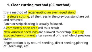 5 Artificial regeneration introduction to forestry | PPTX