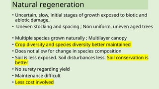 5 Artificial regeneration introduction to forestry | PPTX