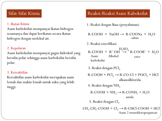 5asam-karboksilat-ester.pdf