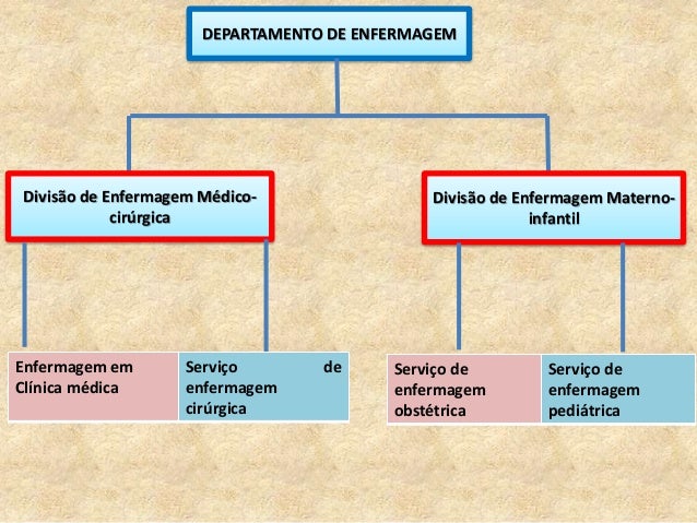 Estrutura Organizacional e os Serviços de Enfermagem Estrutura Organizacional e os Serviços de Enfermagem