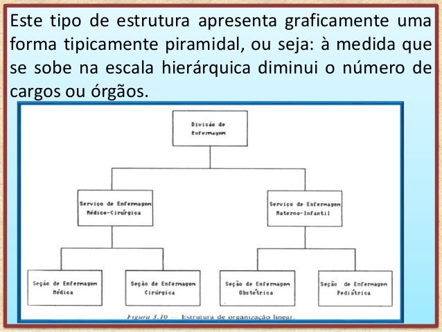 Estrutura Organizacional e os Serviços de Enfermagem Estrutura Organizacional e os Serviços de Enfermagem