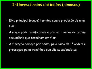 Morfologia vegetal da inflorescência | PPT