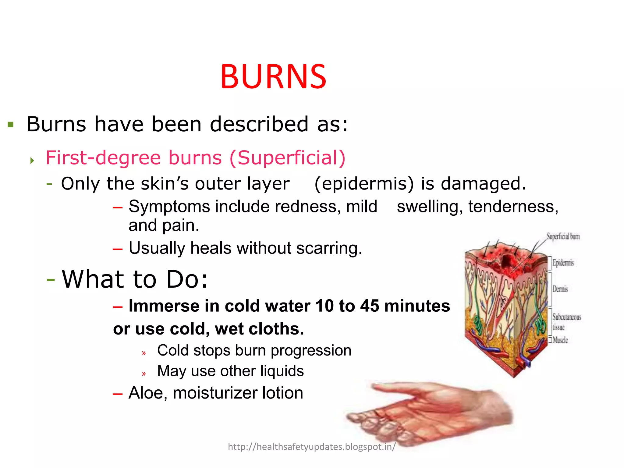 First Aid Training | PPTX