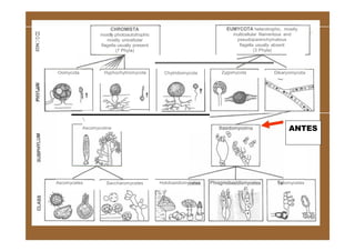 5 b 2-1-presentacion-cap-iii | PDF
