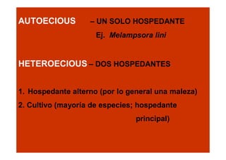 5 b 2-3-presentacion-cap-iii | PDF | Gardening | Home & Garden