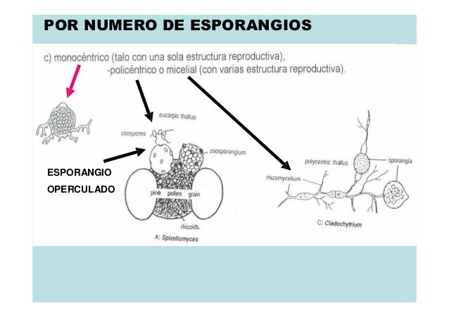 5 b 2-7-presentacion-cap-iii