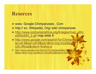 5 B Chimpanzee | PDF