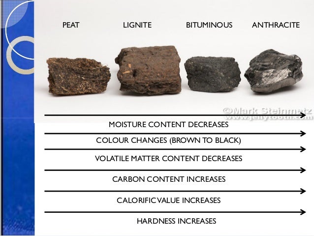 COAL AND ITS RELATION TO OIL AND GAS