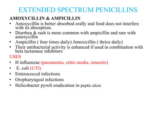 6 beta lactum drugs dental | PPTX