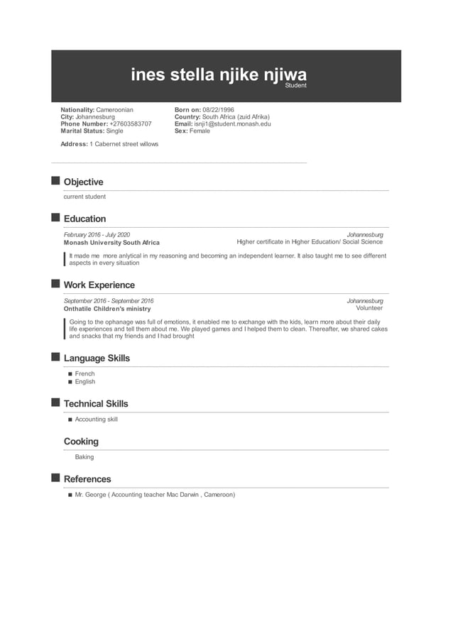 CurriculumVitae (1).pdf ines | PDF