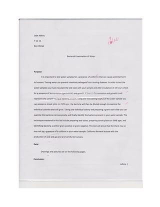 Microbio Sample | PDF