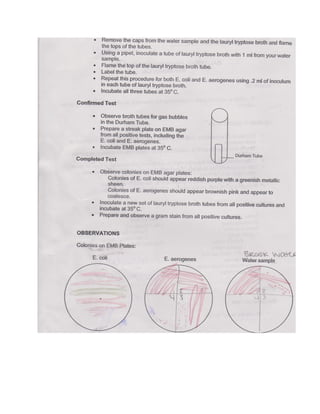 Microbio Sample | PDF