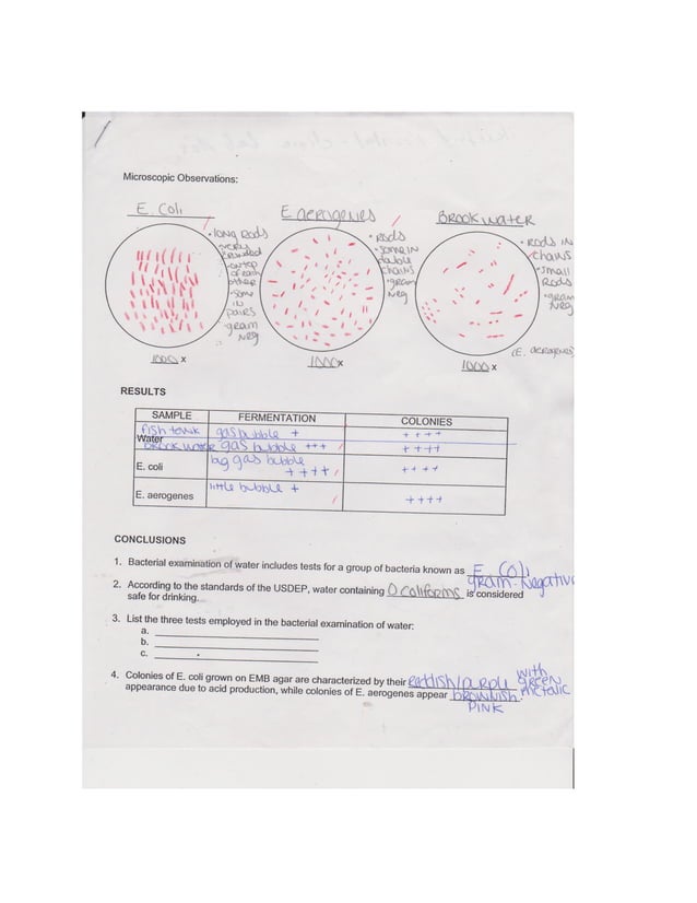 Microbio Sample | PDF