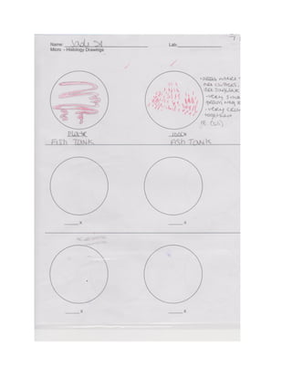 Microbio Sample | PDF