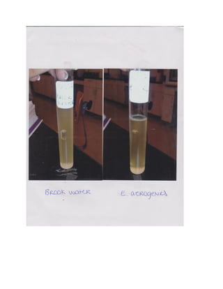 Microbio Sample | DOC