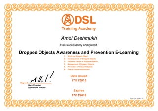 DROPS Training Certificate | PDF