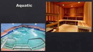 Persuasive Speech Visual Aid | PPT