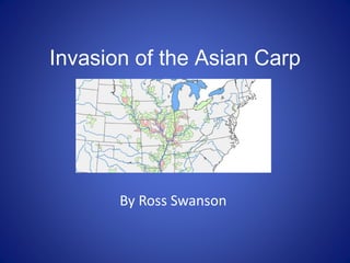 Asian Carp Invasion | PPTX