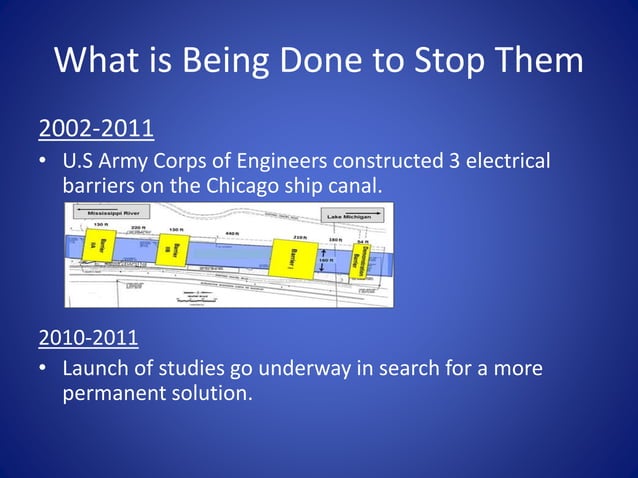 Asian Carp Invasion | PPT