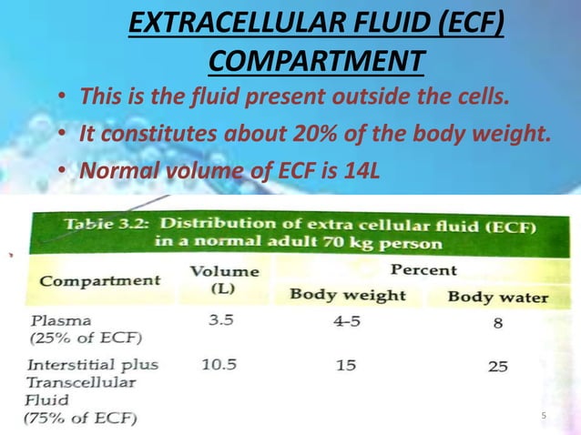 Body Water, Osmolarity and Ionic composition of Body fluids | PDF ...