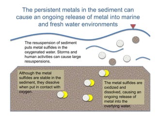 nu final Presentation | PPTX