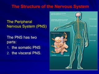 5ba36837-6821-43ae-93f1-55940c157f38.pptx