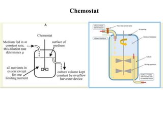 Bacteria growth and nutritional requirements. | PPTX | Biological ...