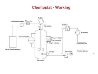 Bacteria growth and nutritional requirements. | PPTX