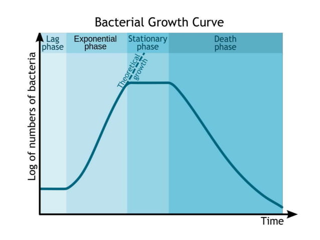 Bacteria growth and nutritional requirements. | PPTX | Biological ...