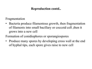 Bacteria growth and nutritional requirements. | PPTX