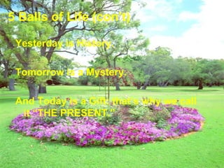 5 Balls Of Life | PPT