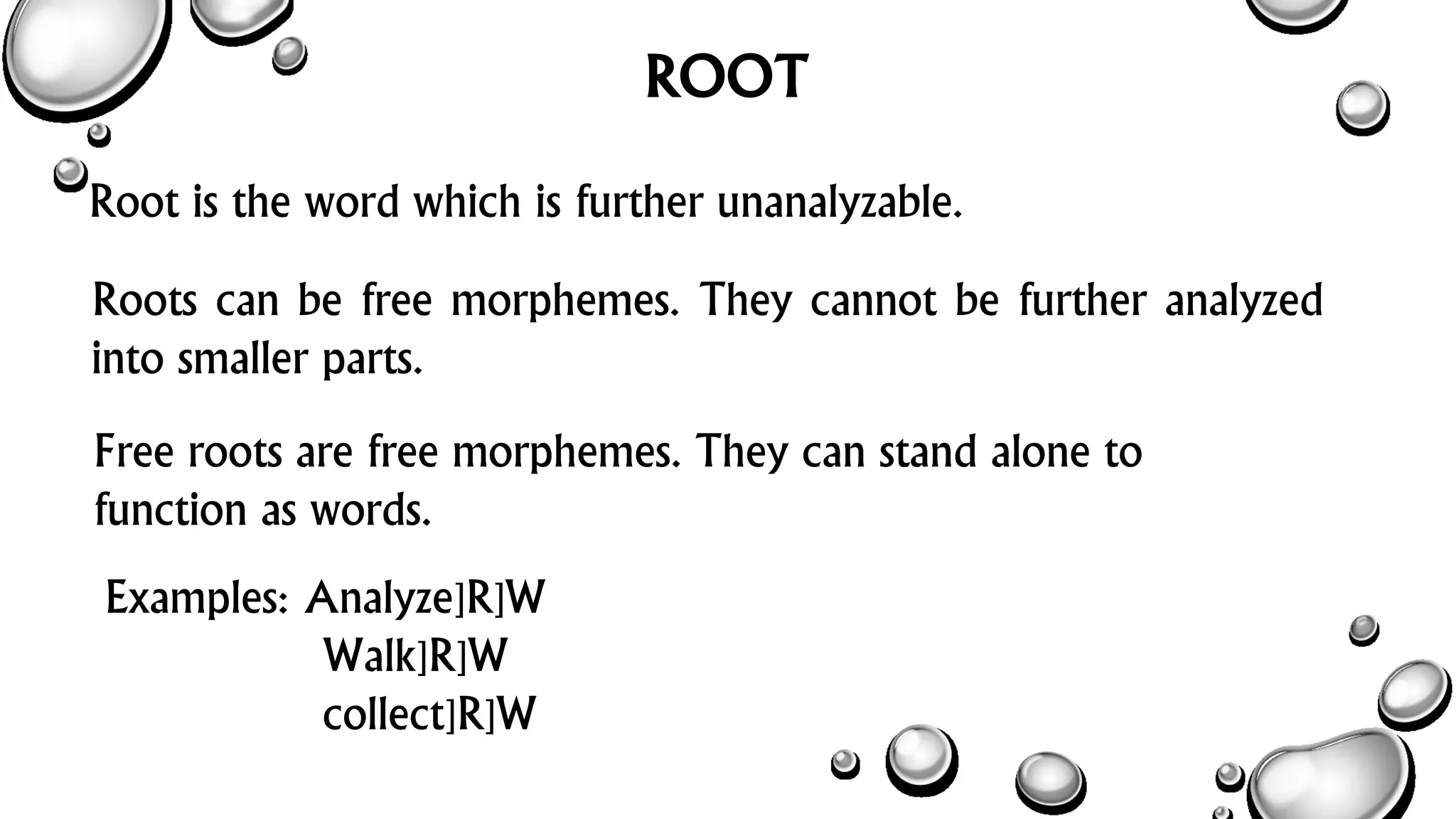 5 base root and stem | PDF