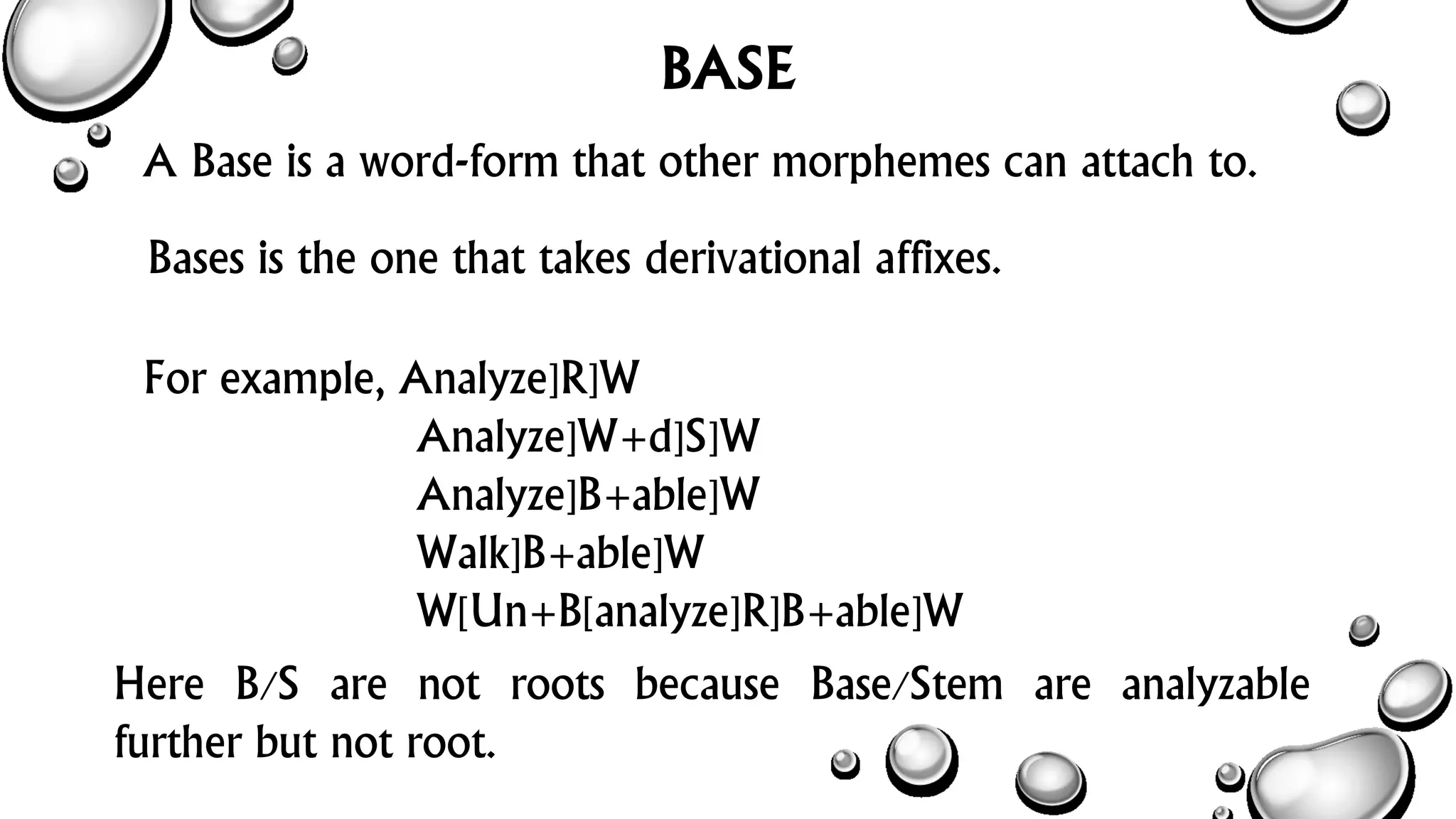 5 base root and stem | PDF