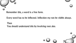 5 base root and stem | PDF