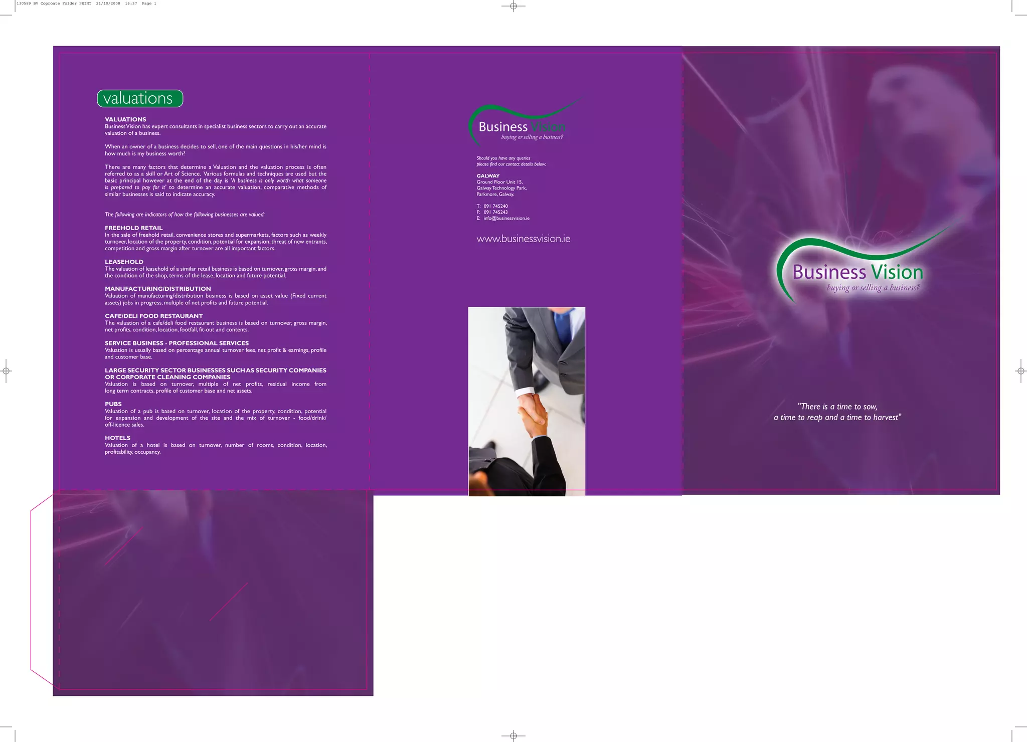 Business Vision Brochure | PDF