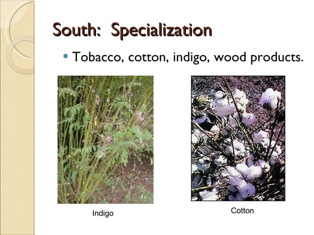 5b colonial regions | PPT