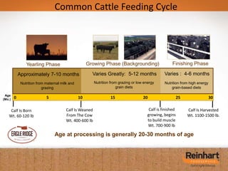 Burlington Sales Meeting presintation 2015 | PPTX