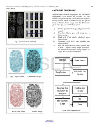 A-Study-on-Binary-Number-of-Gender-Identification-Based-on-Fingerprints ...